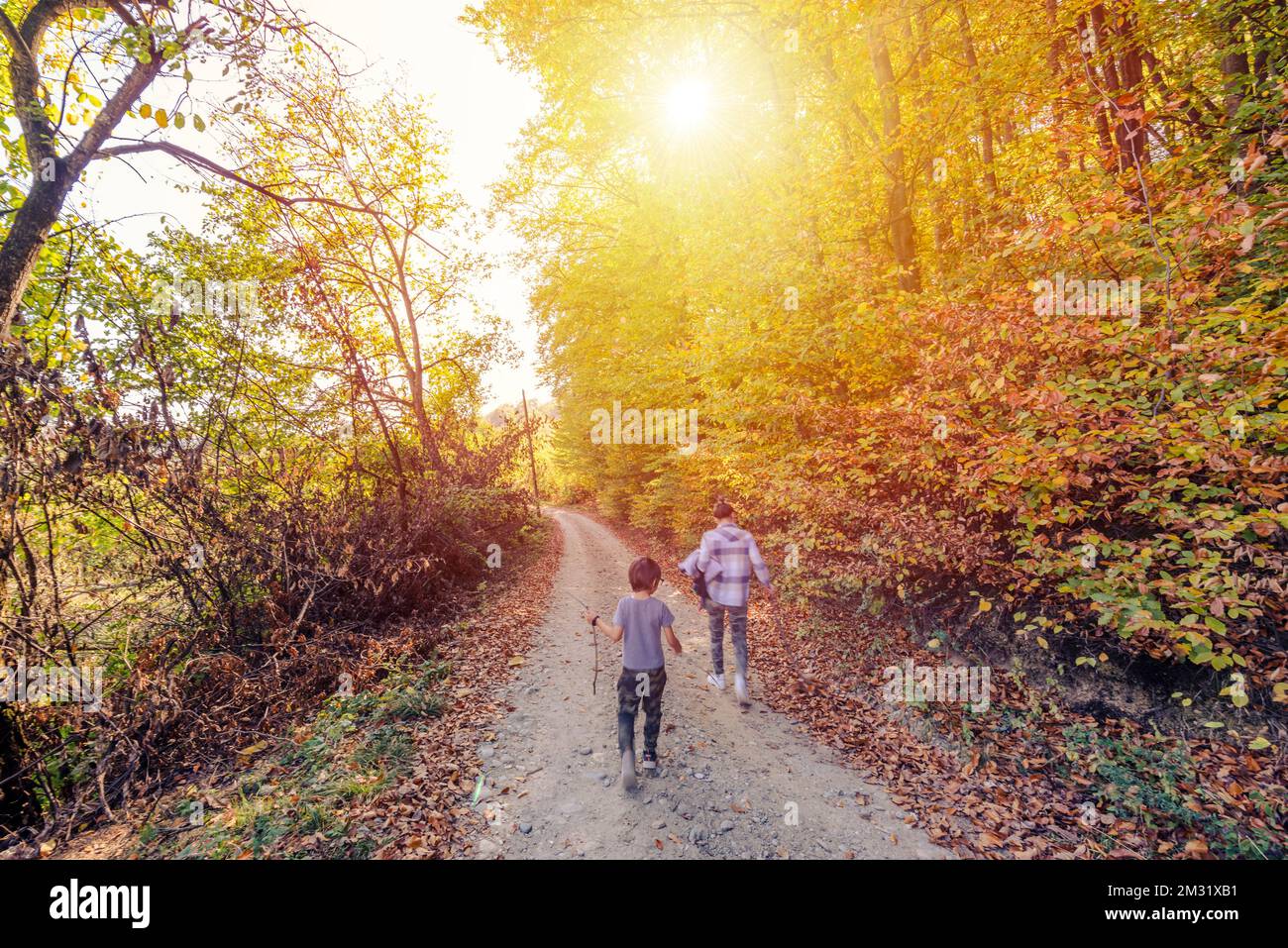 A mother with a son walking along a path in the forest Stock Photo - Alamy