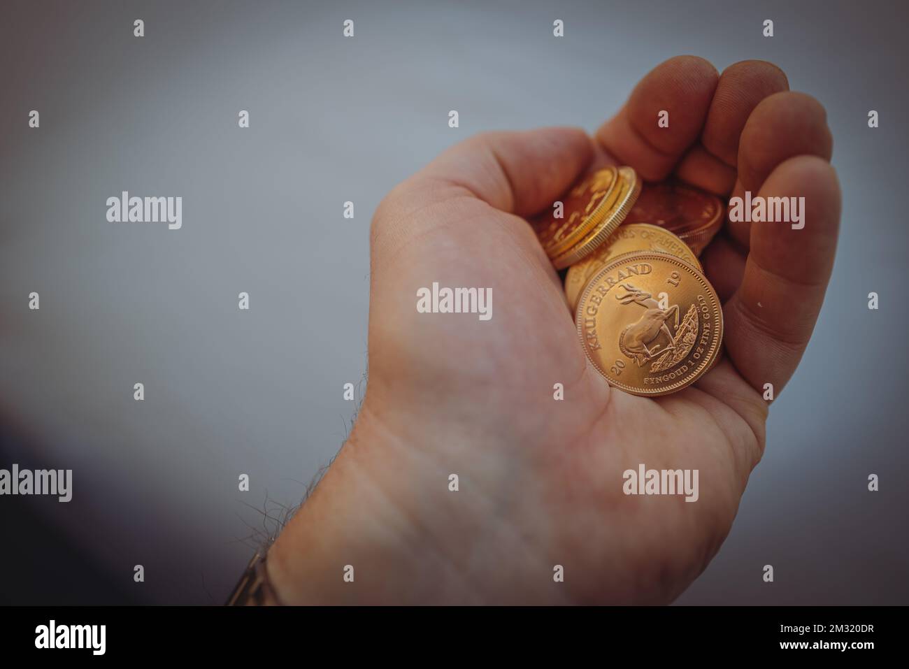 in one hand are many Krugerrand gold coins Stock Photo - Alamy
