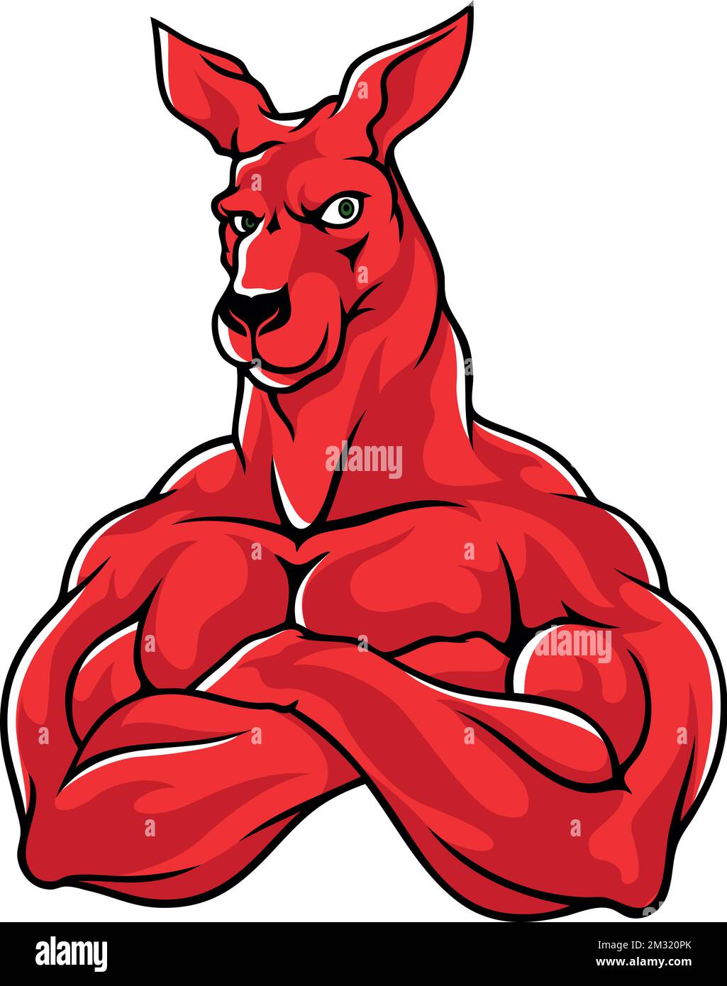 Muscular Kangaroo Character with Cross Arms Stock Vector Image & Art ...