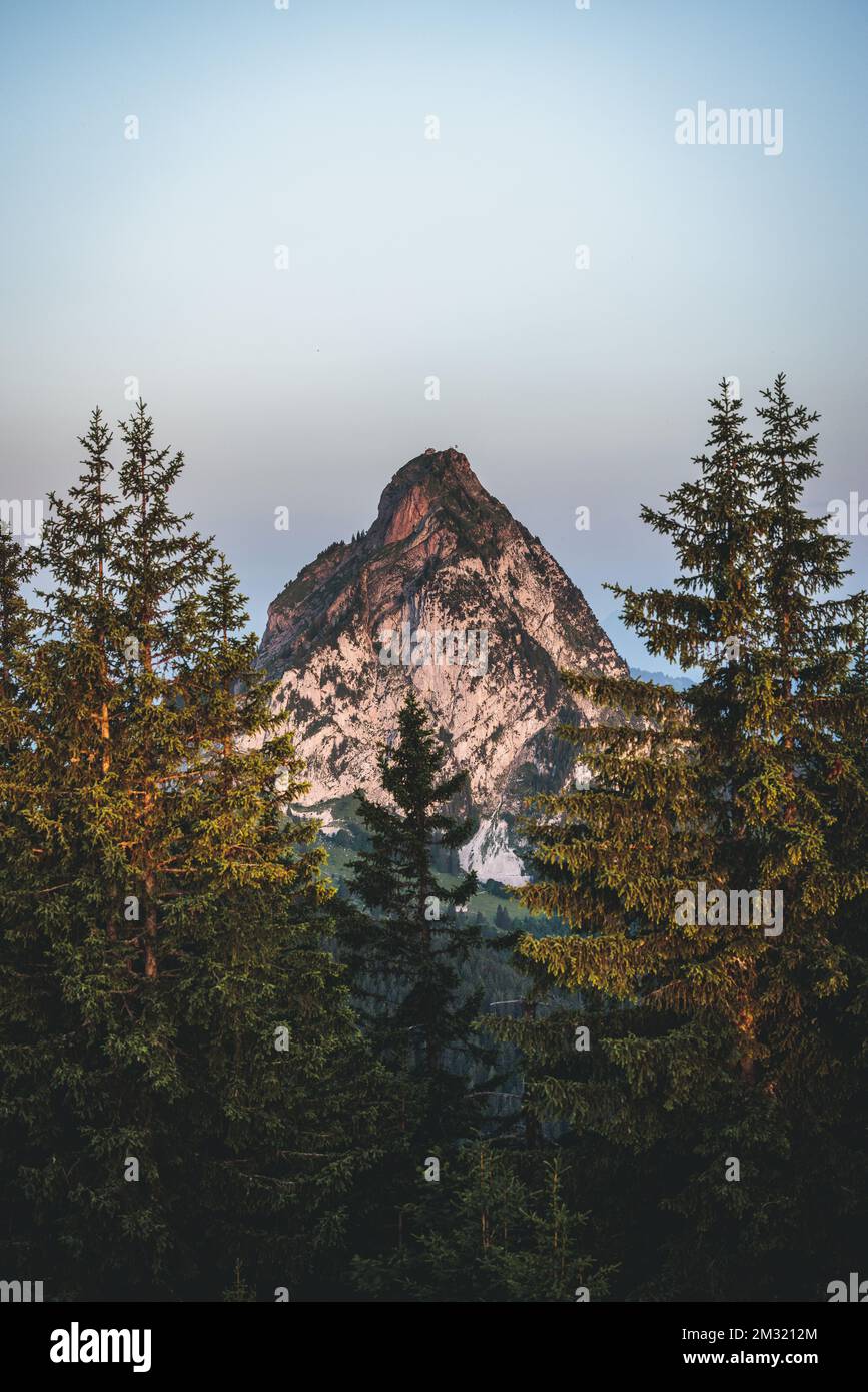 A vertical shot of a beautiful mountain peak with silhouettes of pine ...