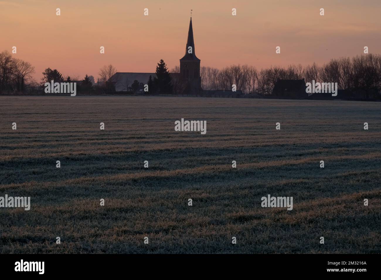 Illustration shows a landscape covered with frost in Sint Maria Lierde ...