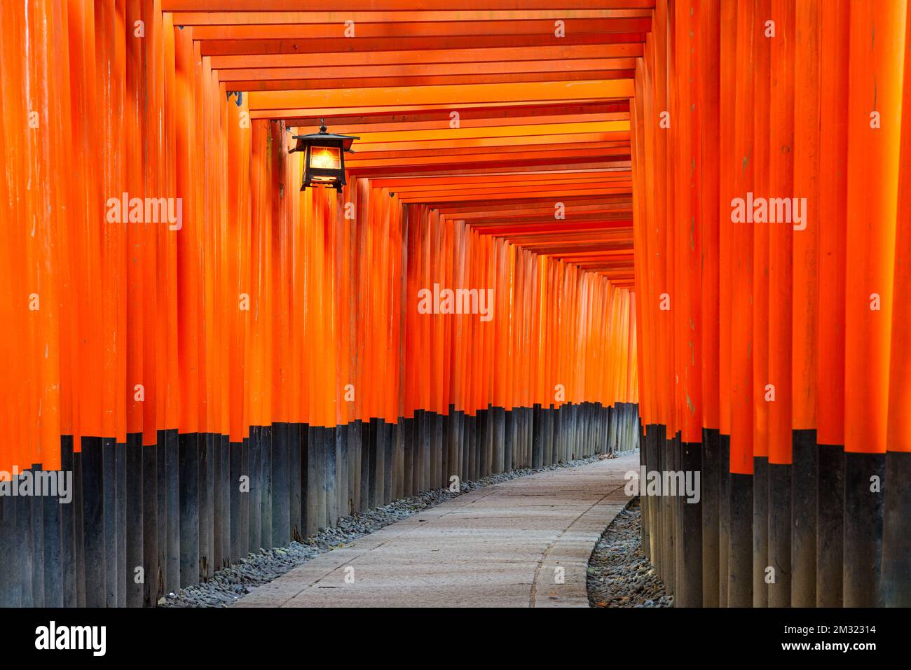 Torii gate pathway hi-res stock photography and images - Alamy
