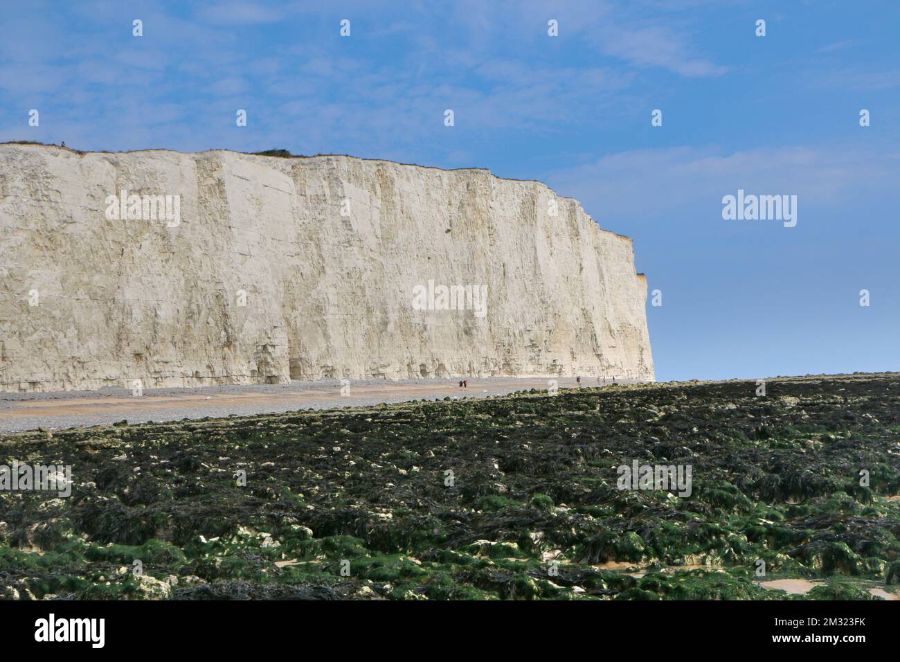 A scenic shot of the white cliffs of Dover in England Stock Photo - Alamy