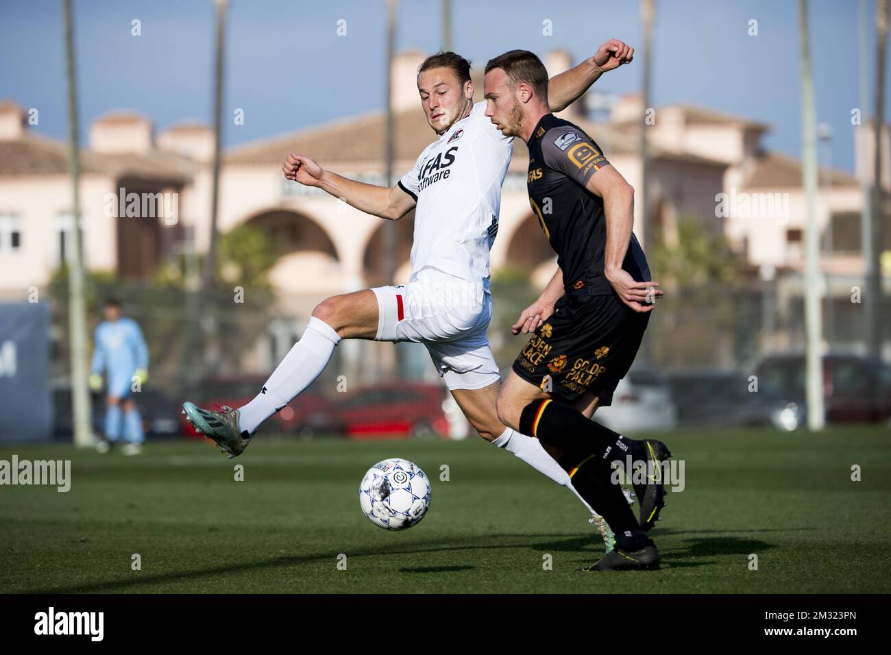 Teun jacobs hi-res stock photography and images - Alamy