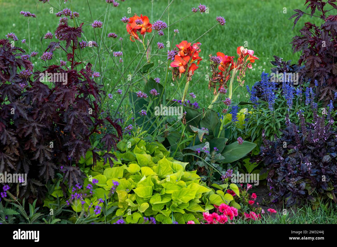 Bee pasture hi-res stock photography and images - Alamy