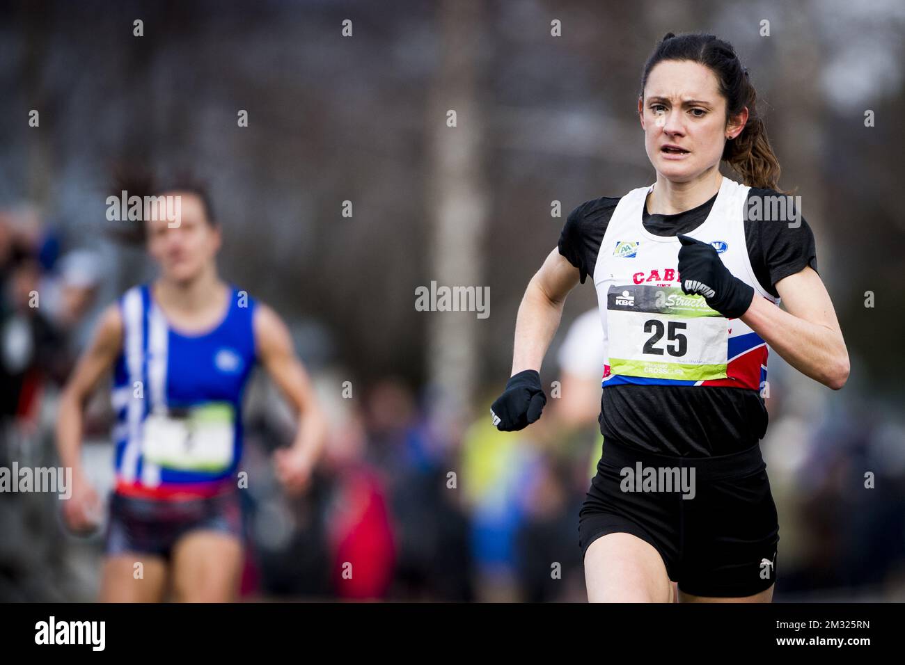 Crosscup hi-res stock photography and images - Alamy