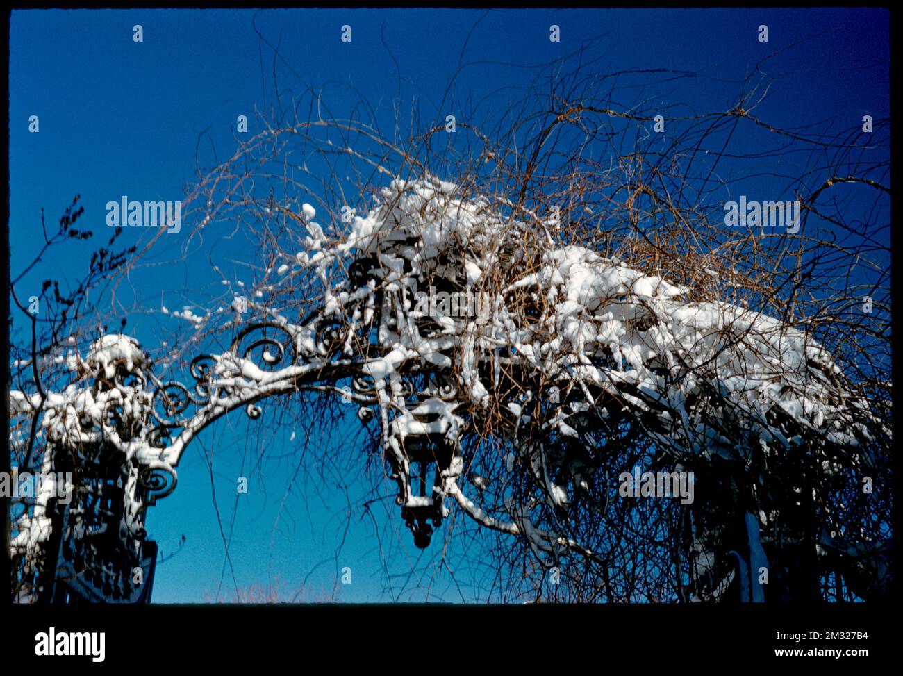 Harvard university campus snow hi-res stock photography and images - Alamy