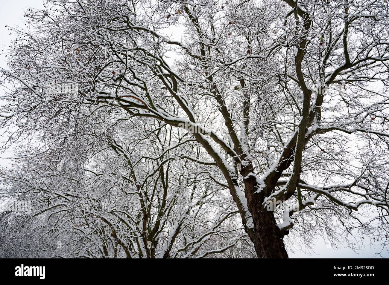 London Fields, Hackney, London, England, UK Stock Photo - Alamy
