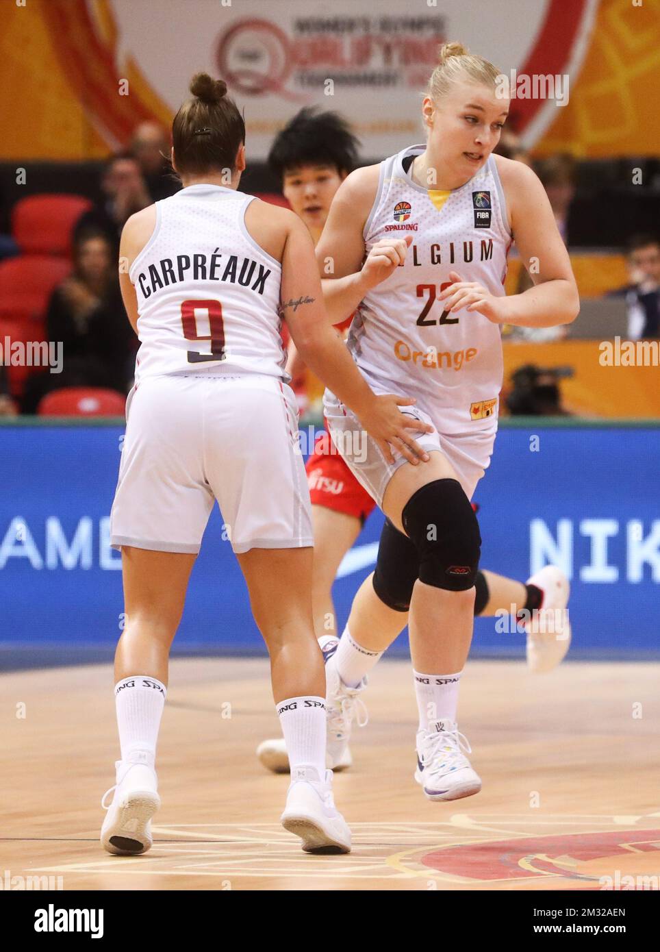 Belgian Cats Marjorie Carpreaux and Belgian Cats Hanne Mestdagh ...