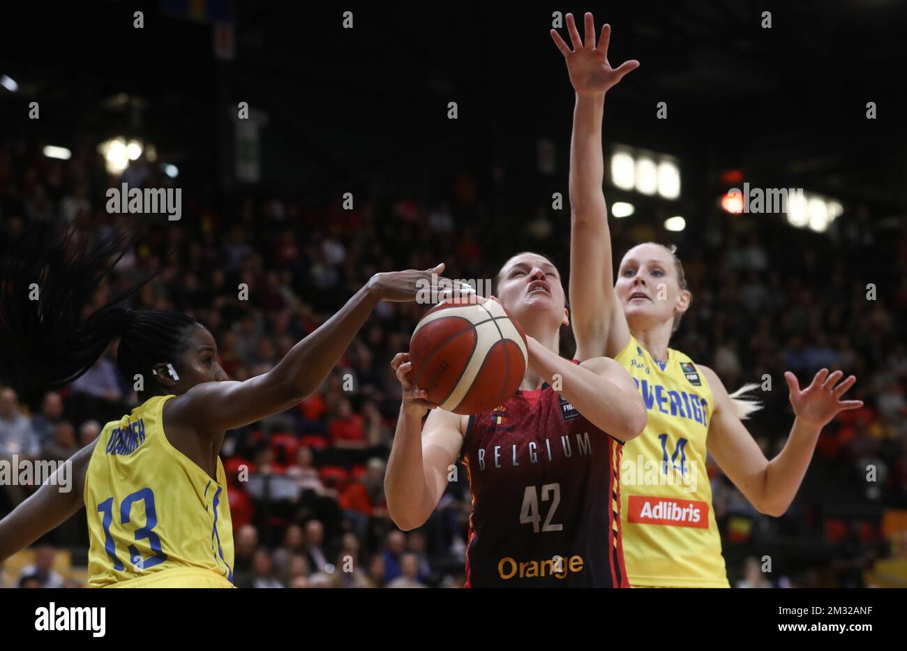 Belgian Cats Jana Raman and Sweden's Louice Halvarsson fight for the ...