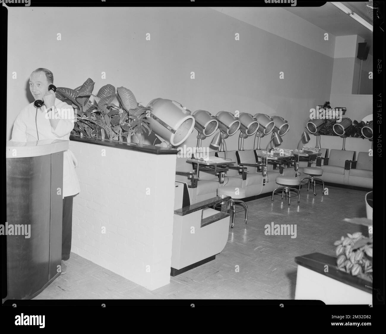 Beauty of leon Black and White Stock Photos & Images - Alamy
