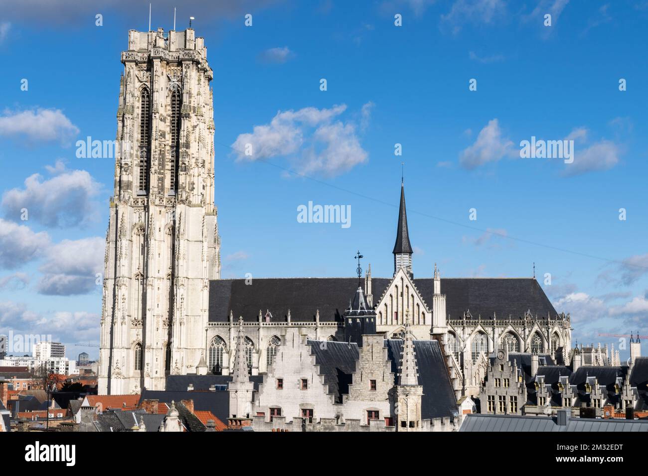 illustration picture shows the rooftop view of the "Sint-Rombouts ...
