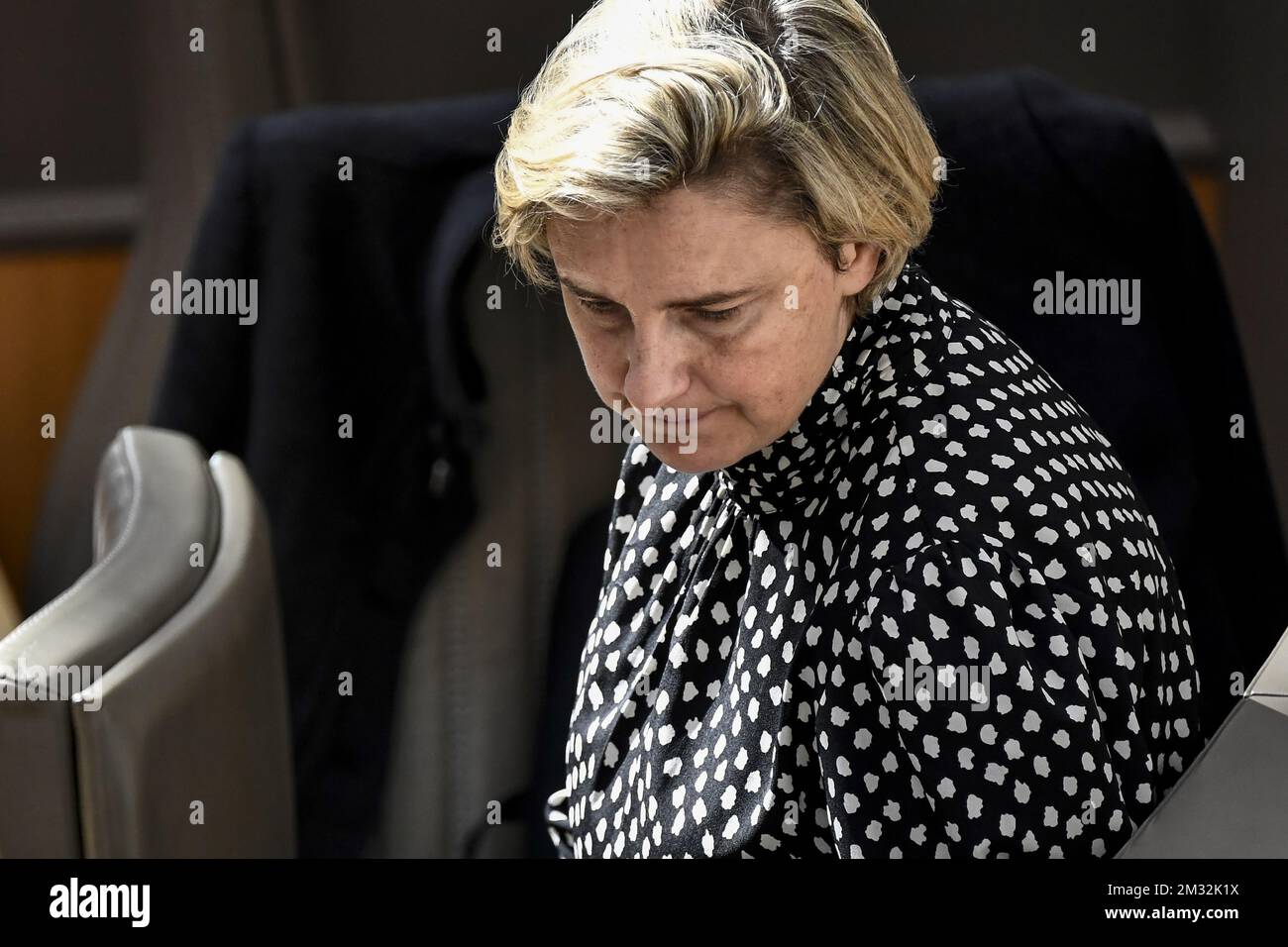 Flemish Minister of Employment, Economy, Social Economy and agriculture ...