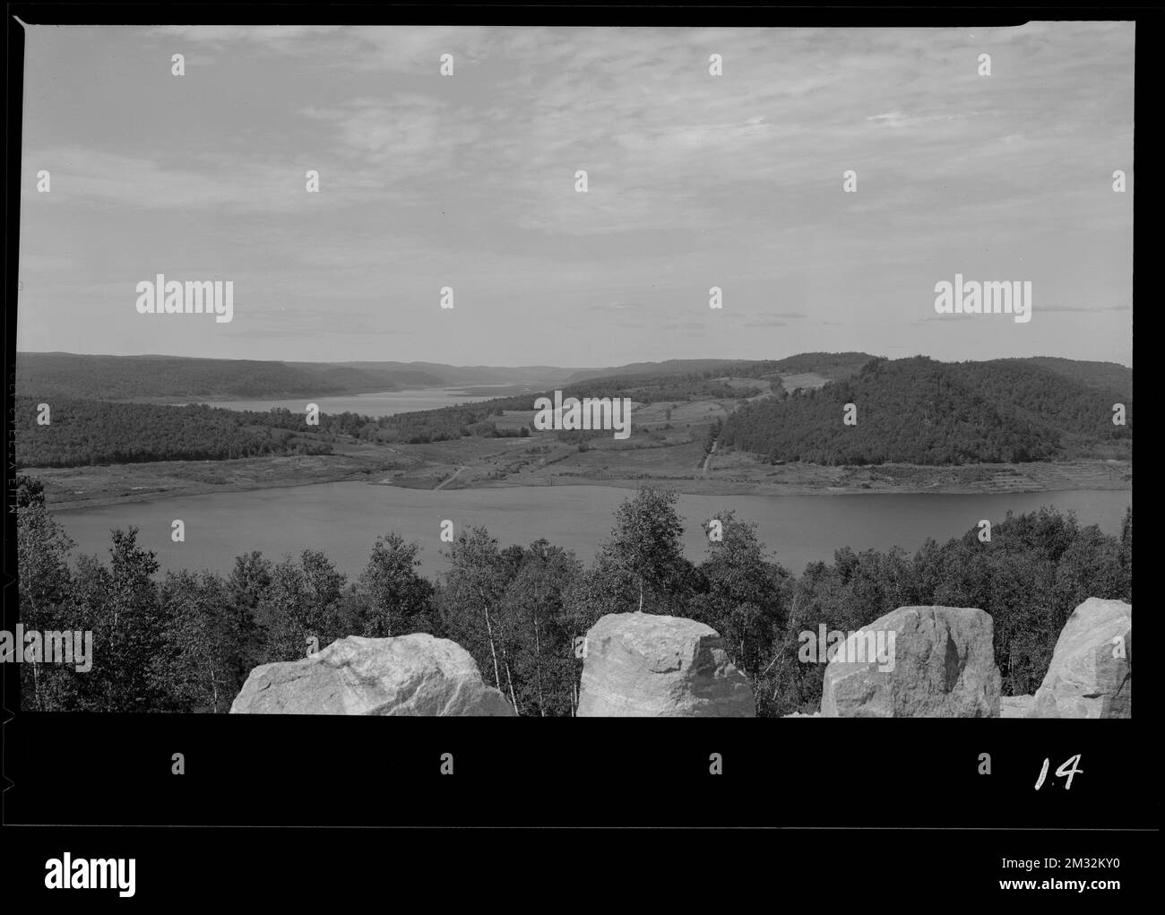 General view along Administration Road, for vista clearing, Quabbin ...