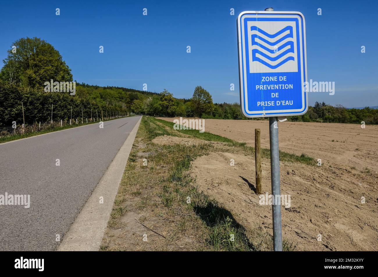 Spadel group hi-res stock photography and images - Alamy