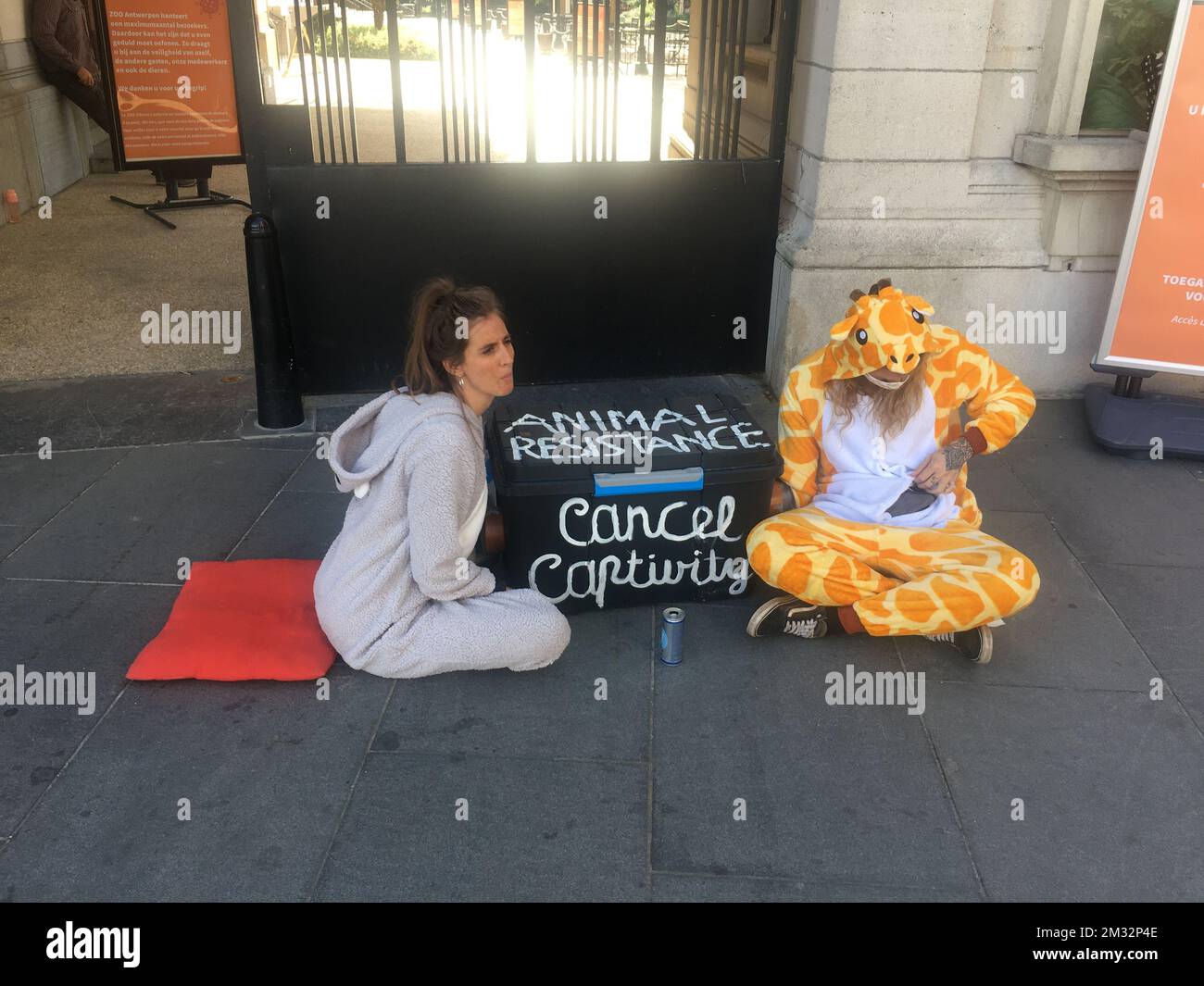 Picture regarding the Belga article "Dierenrechtenactivisten van Animal ...