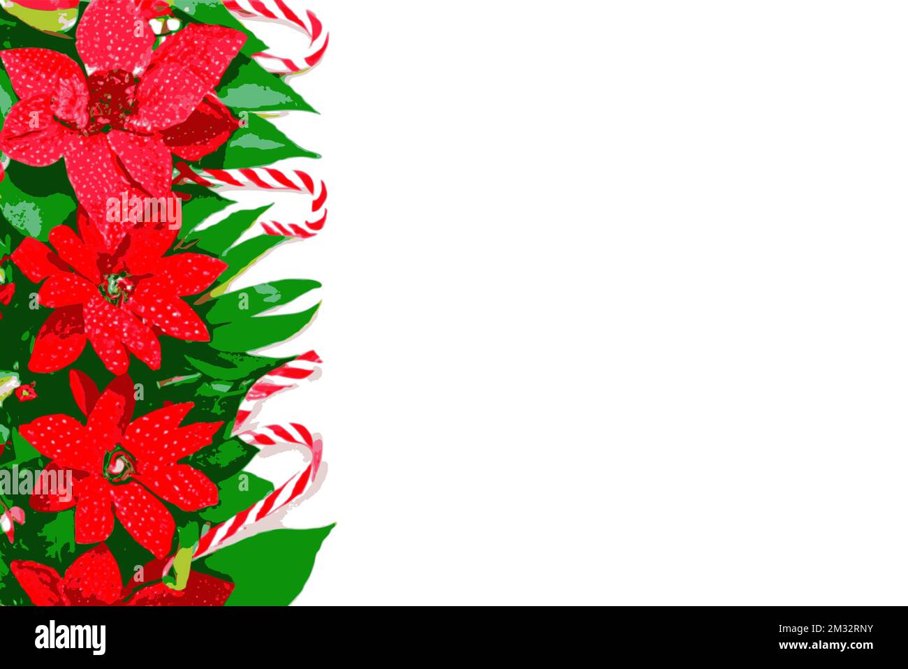 Poinsettia and candy cane background with copy space. Holiday and ...