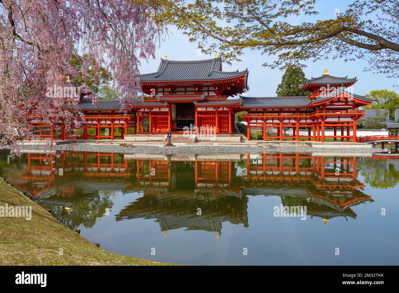 Uji, Kyoto, Japan at Byodo-in Temple during spring season Stock Photo ...