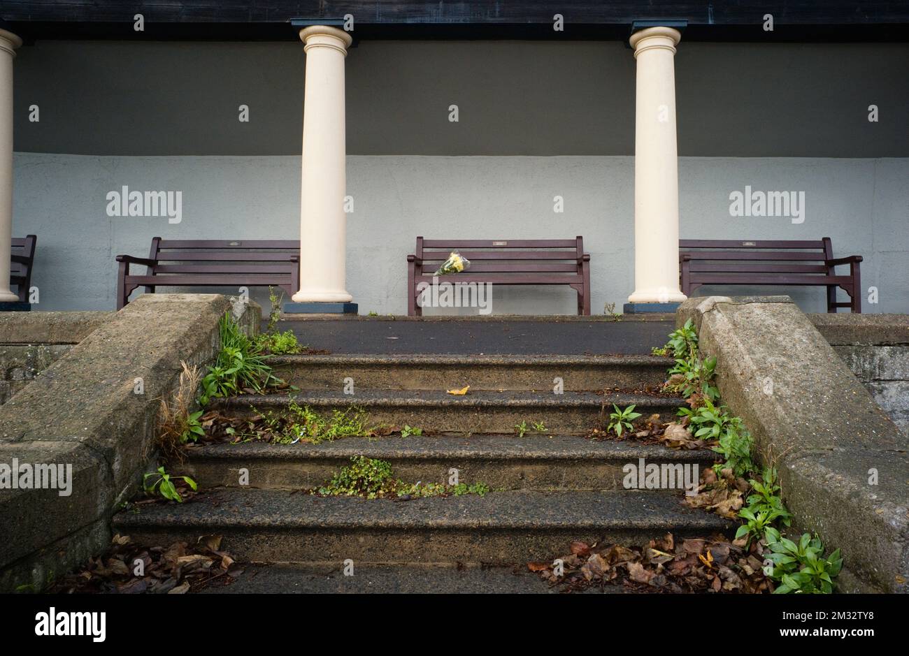 Looking up at steps with seating at upper level and flowers on one of ...