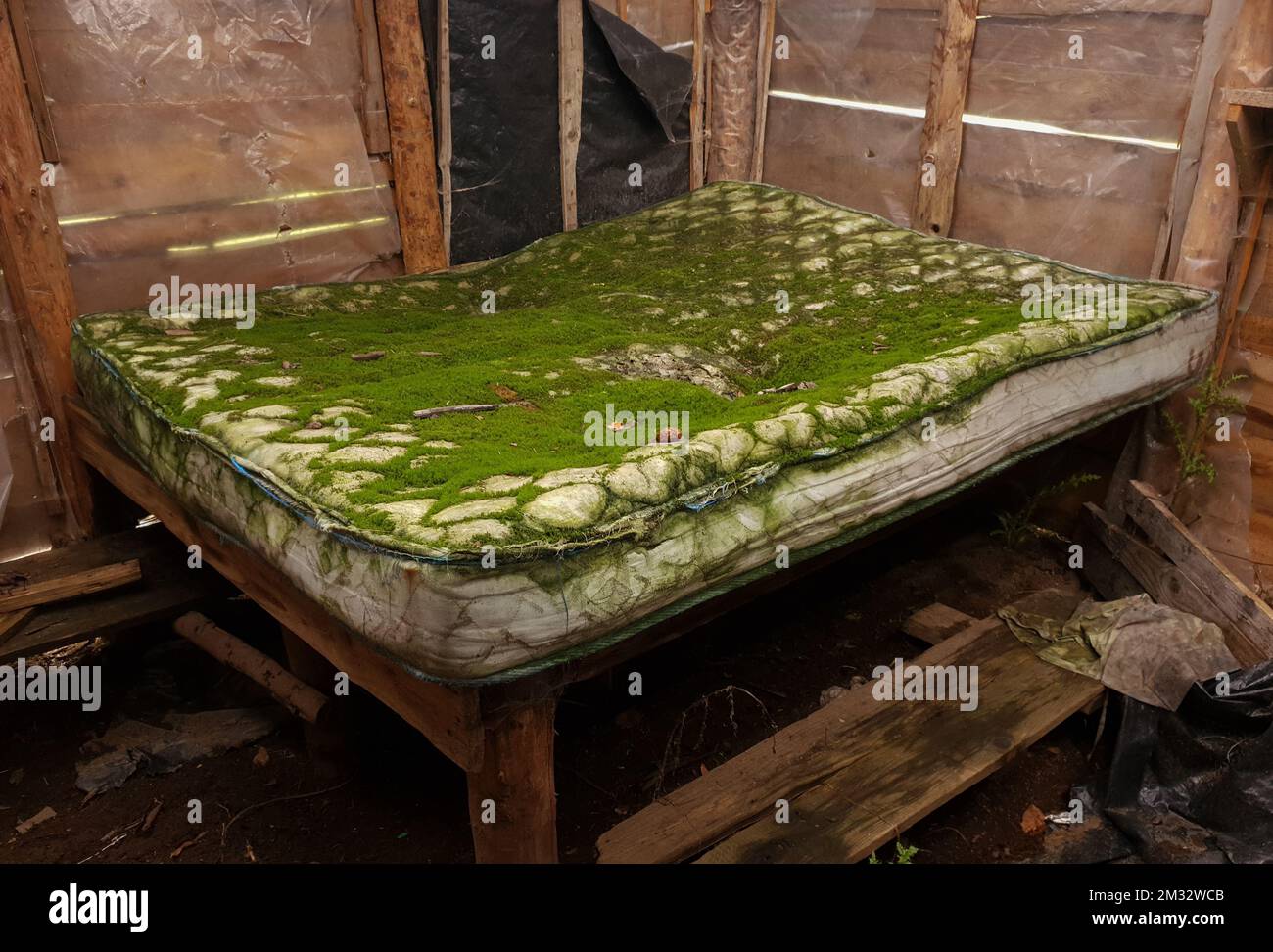 An old bed covered with moss Stock Photo - Alamy