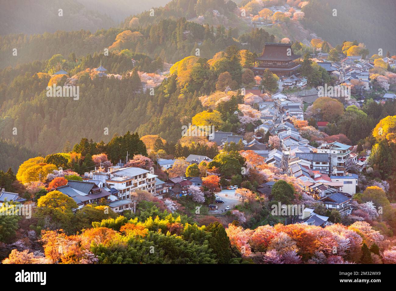 Yoshinoyama, Nara, Japan in spring season at dusk Stock Photo - Alamy