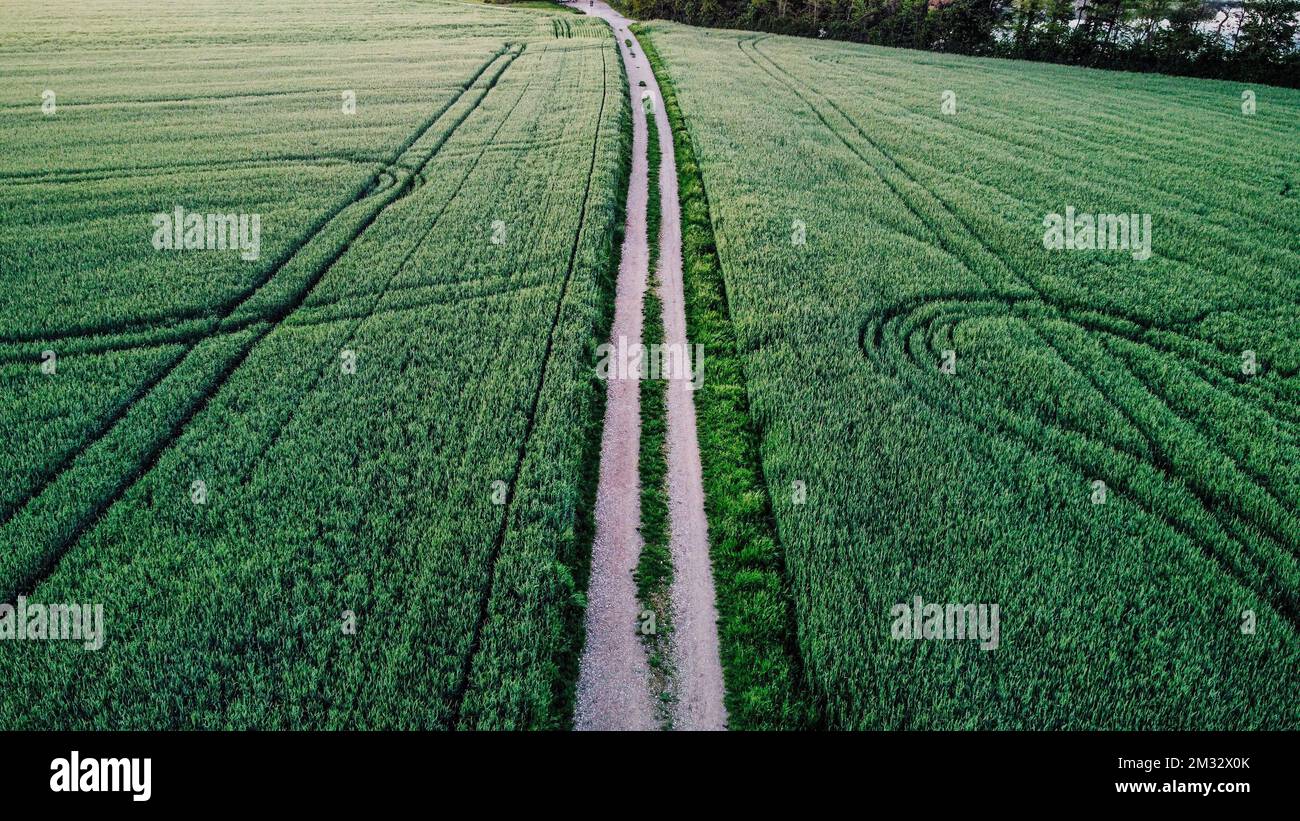 An aerial view of a field with pathway Stock Photo - Alamy
