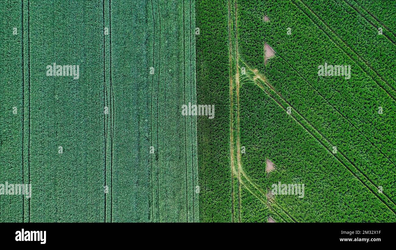 An aerial view of a green field Stock Photo - Alamy