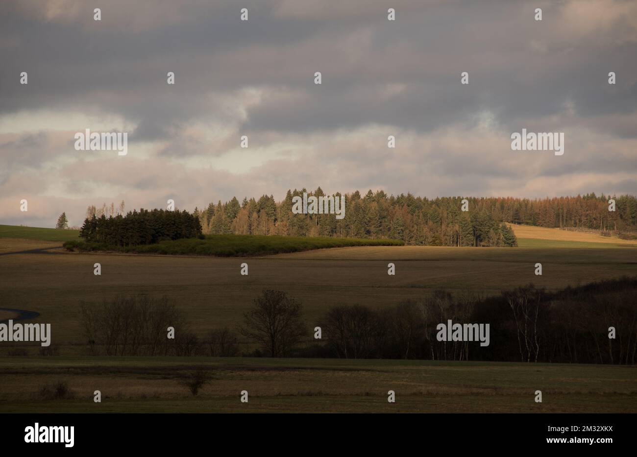 German environment hi-res stock photography and images - Alamy