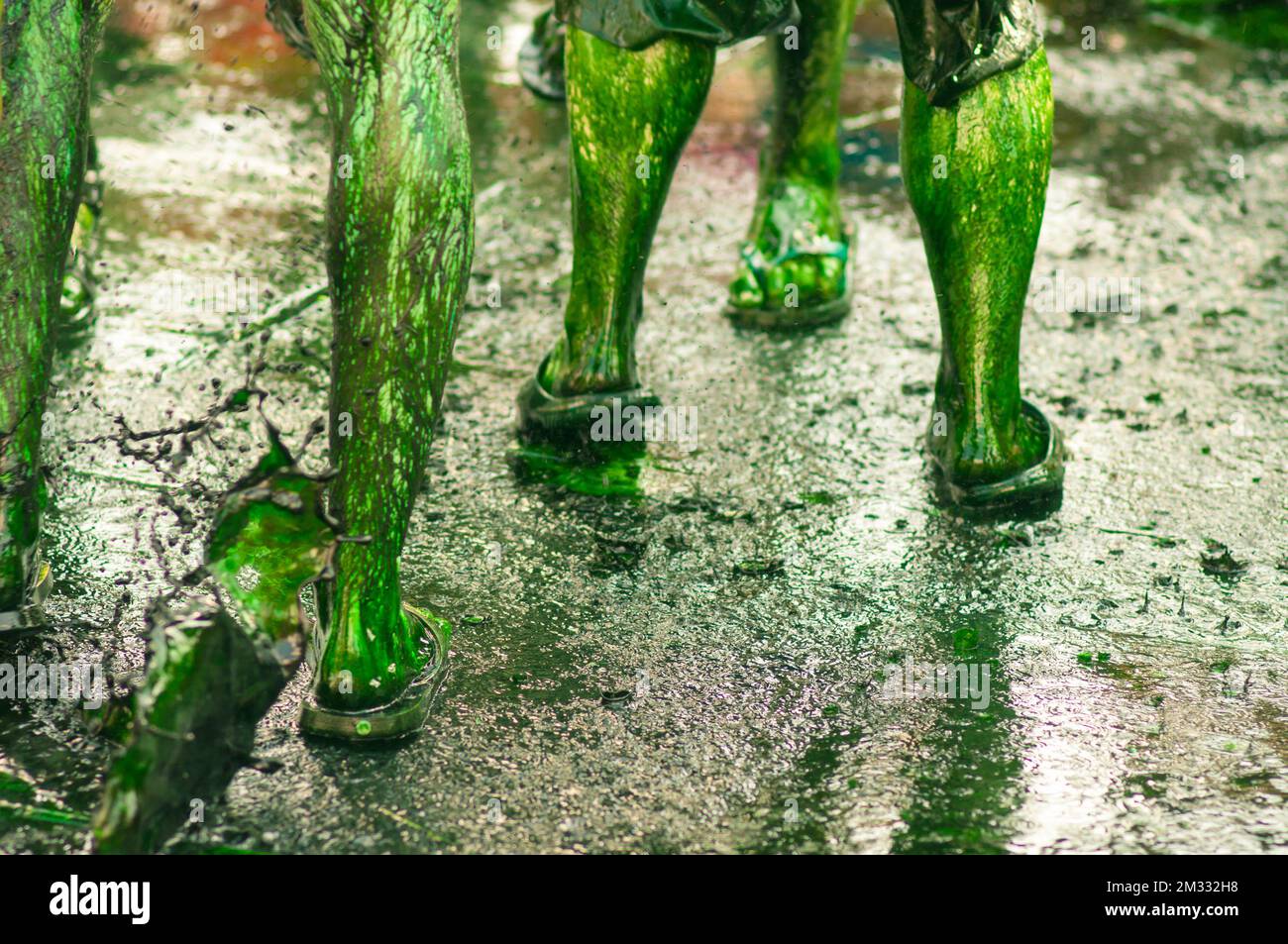 Legs of two people in a green paint during the festival of Holi Stock ...