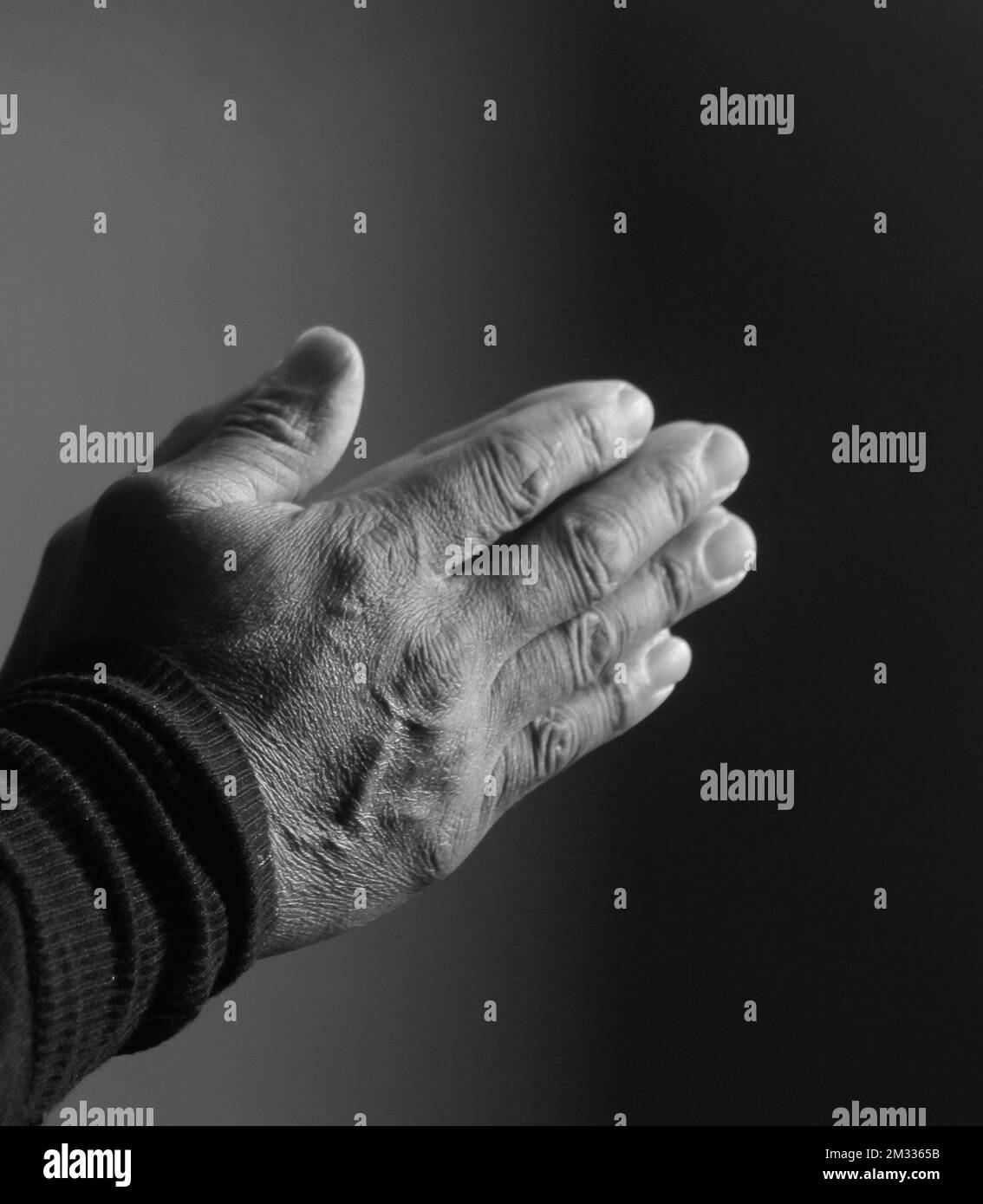 Hands family photo Black and White Stock Photos & Images - Alamy