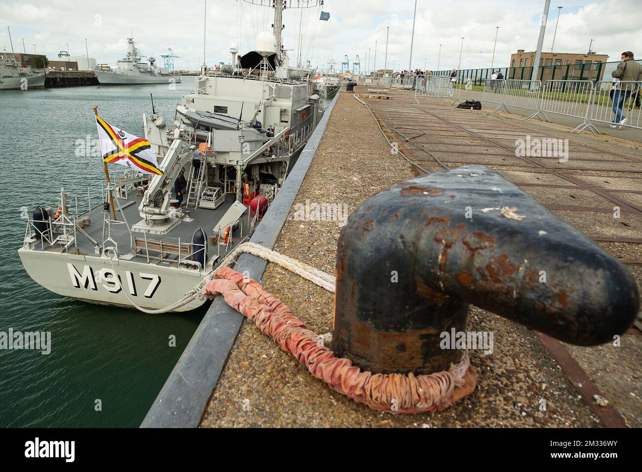 M917 crocus hi-res stock photography and images - Alamy