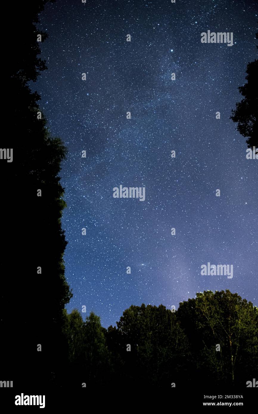 Illustration picture shows the stars during the night at Camping Tonny ...