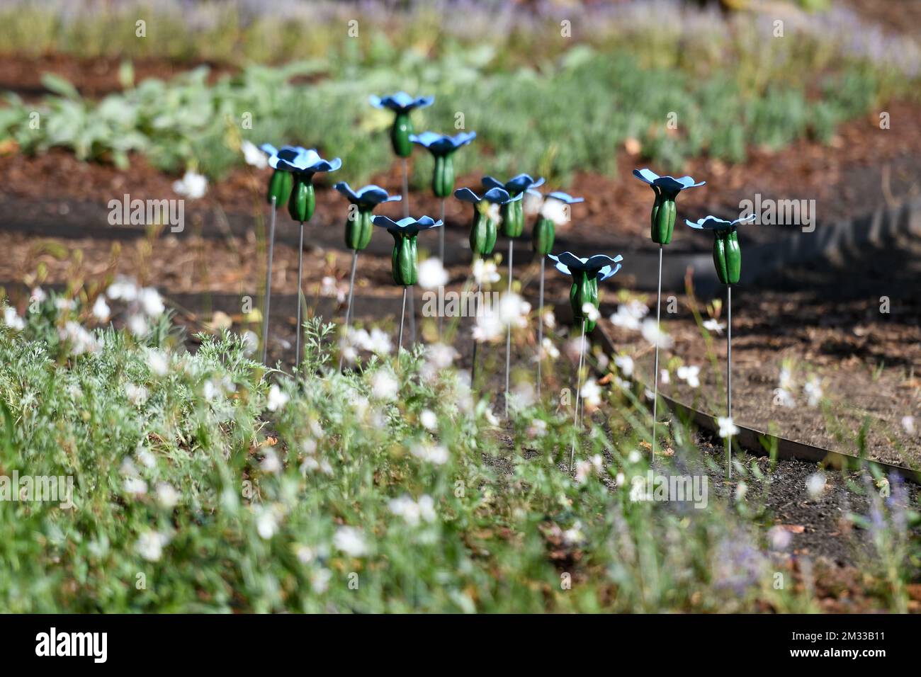 blue flowers pictured during a memorial for the victims of the Covid-19 ...