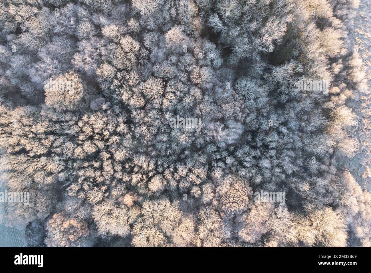 Drone image uk woodland hi-res stock photography and images - Alamy