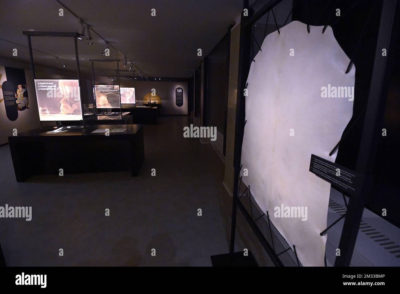 Illustration picture shows the exposition on the library of the Dukes ...