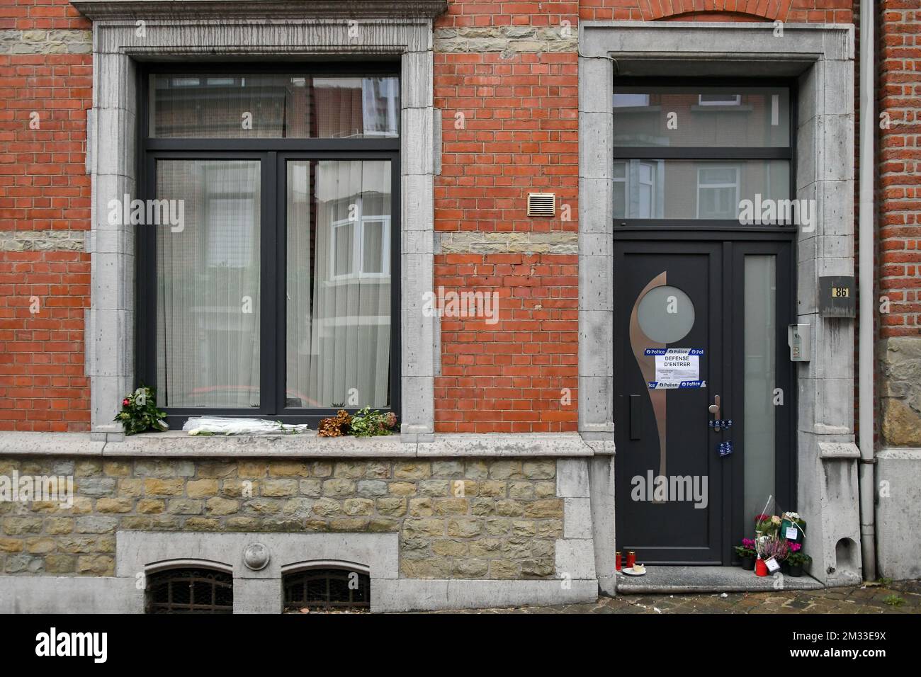 Illustration picture shows flowers at the entrance of the house of ...