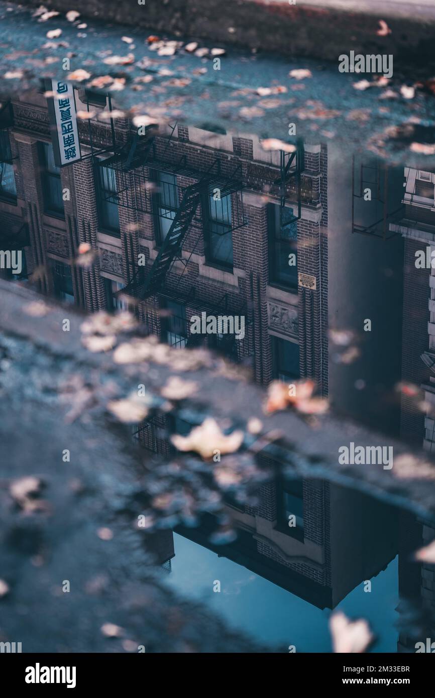 The reflection of a brick building in the puddle in New York City Stock ...