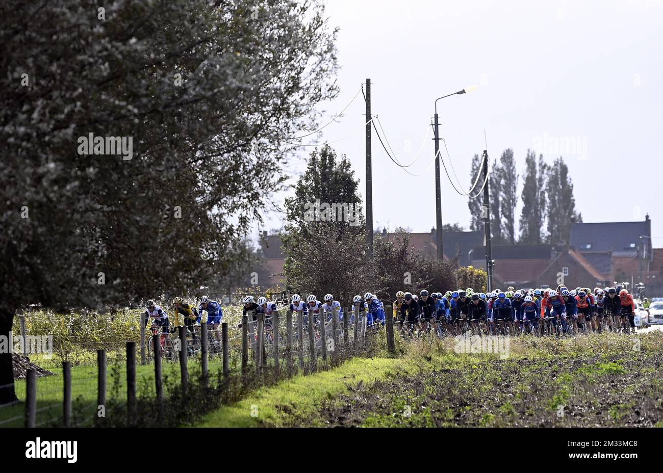 Illustration picture of the pack of riders during the Gent-Wevelgem ...