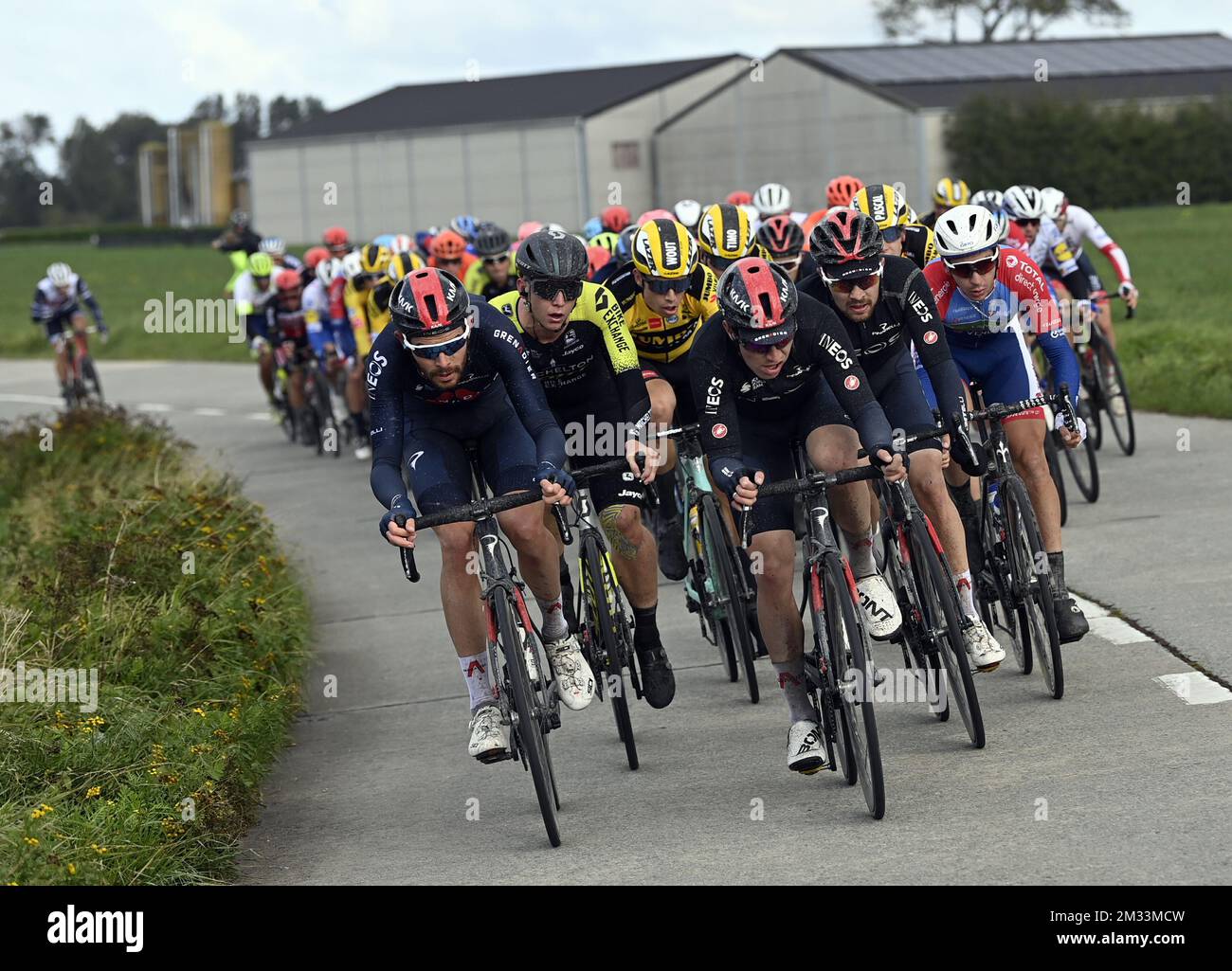 Illustration picture of the pack of riders during the Gent-Wevelgem ...