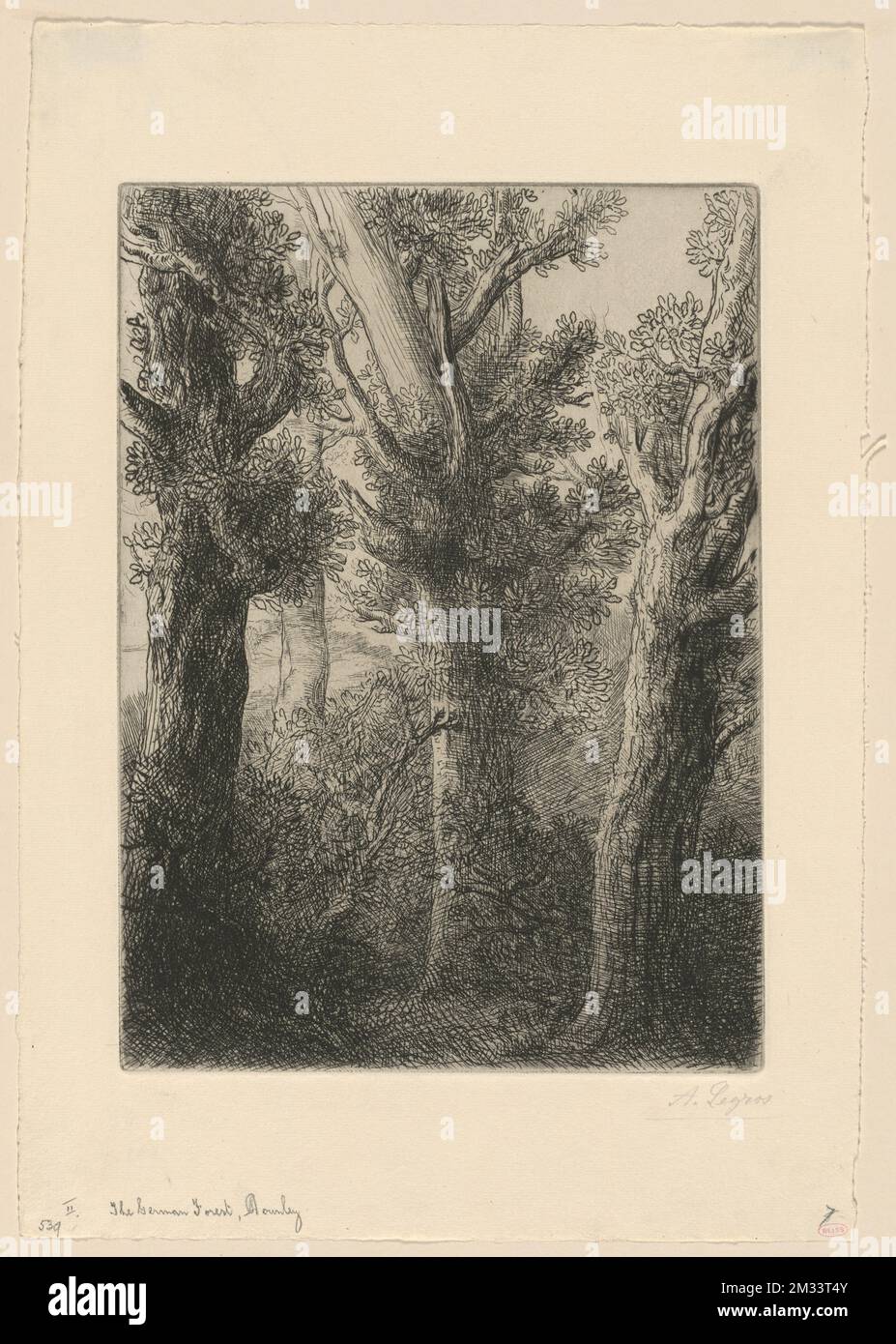 The German Forest, Downley , Forests, Trees, Alphonse Legros (1837-1911 ...