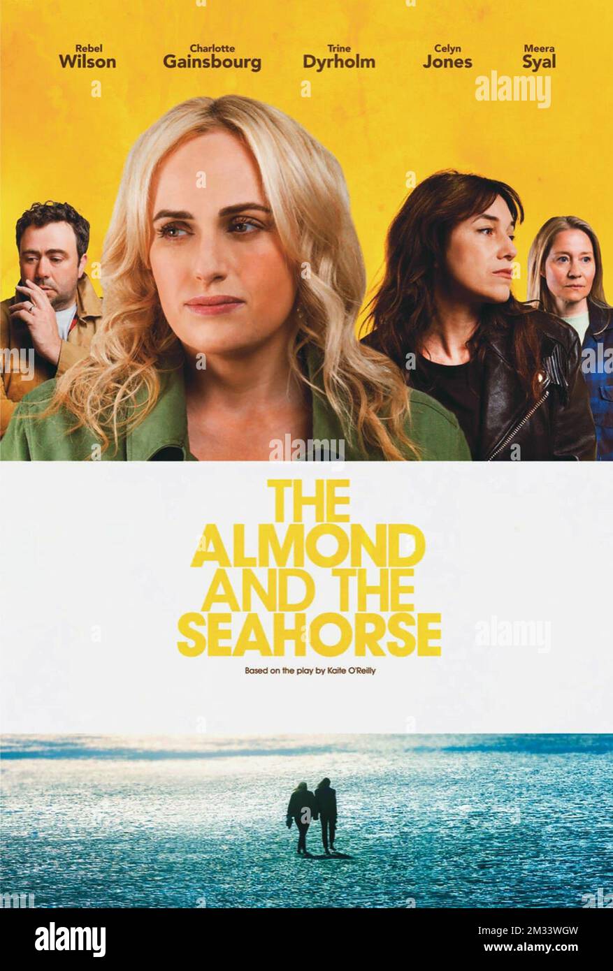 THE ALMOND AND THE SEAHORSE, poster, from left: Celyn Jones, Rebel Wilson, Charlotte Gainsbourg ...