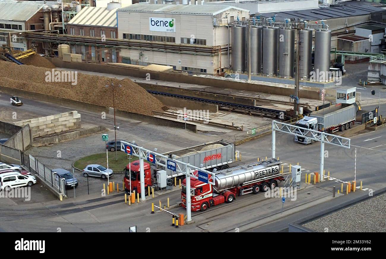 Aerial drone picture shows the Beneo-Orafti production site, in Oreye ...
