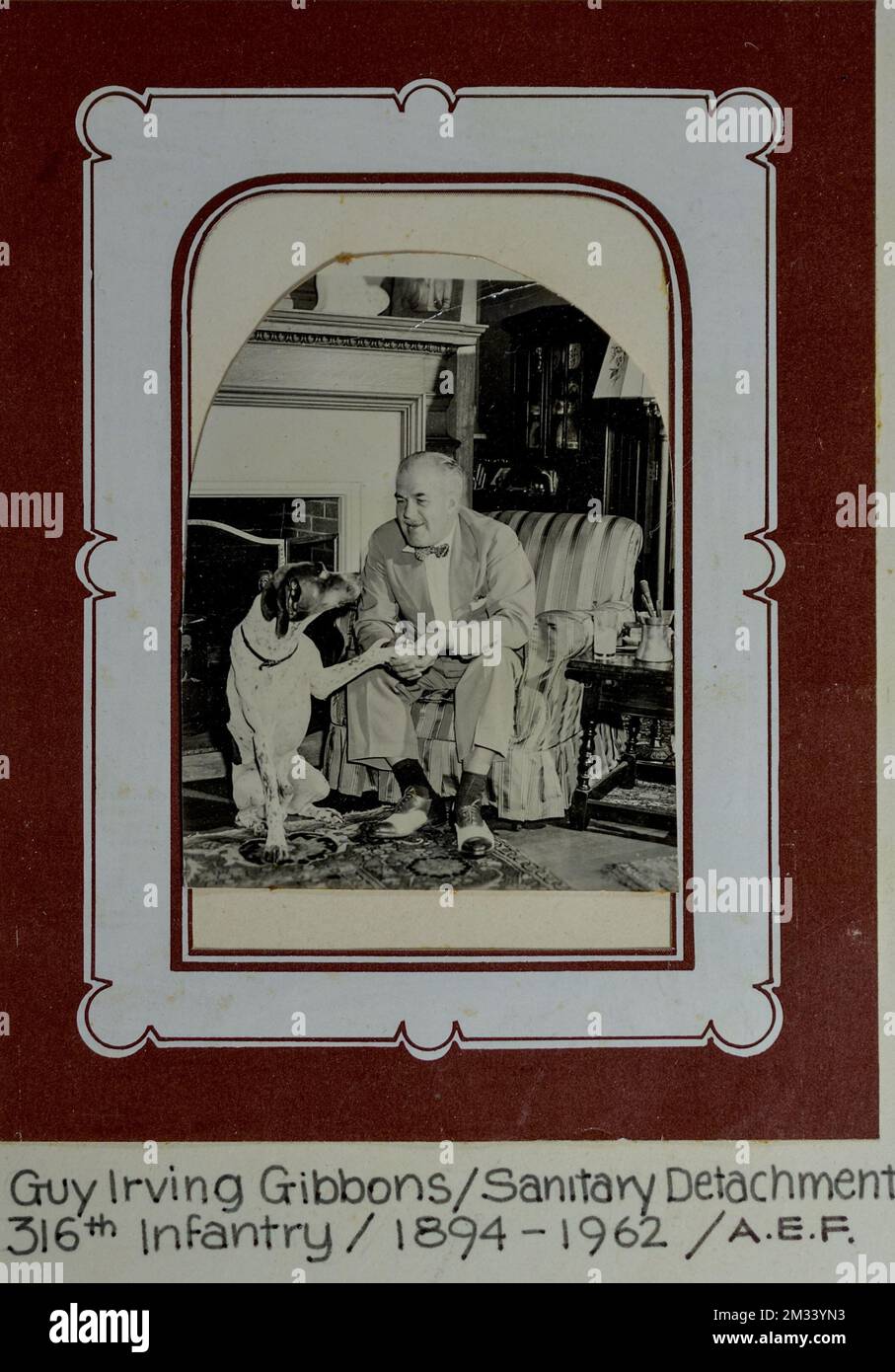 Gibbons, Guy Irving: World War I veteran , Veterans, Dogs Stock Photo ...