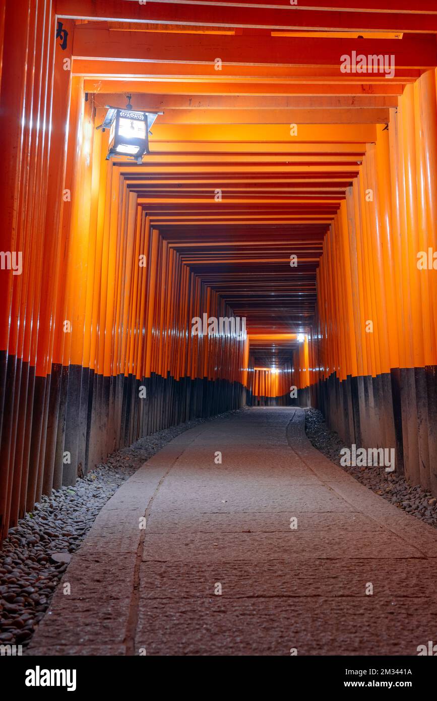 Fushimi Inari Taisha Shrine torii gates in Kyoto, Japan at night Stock ...
