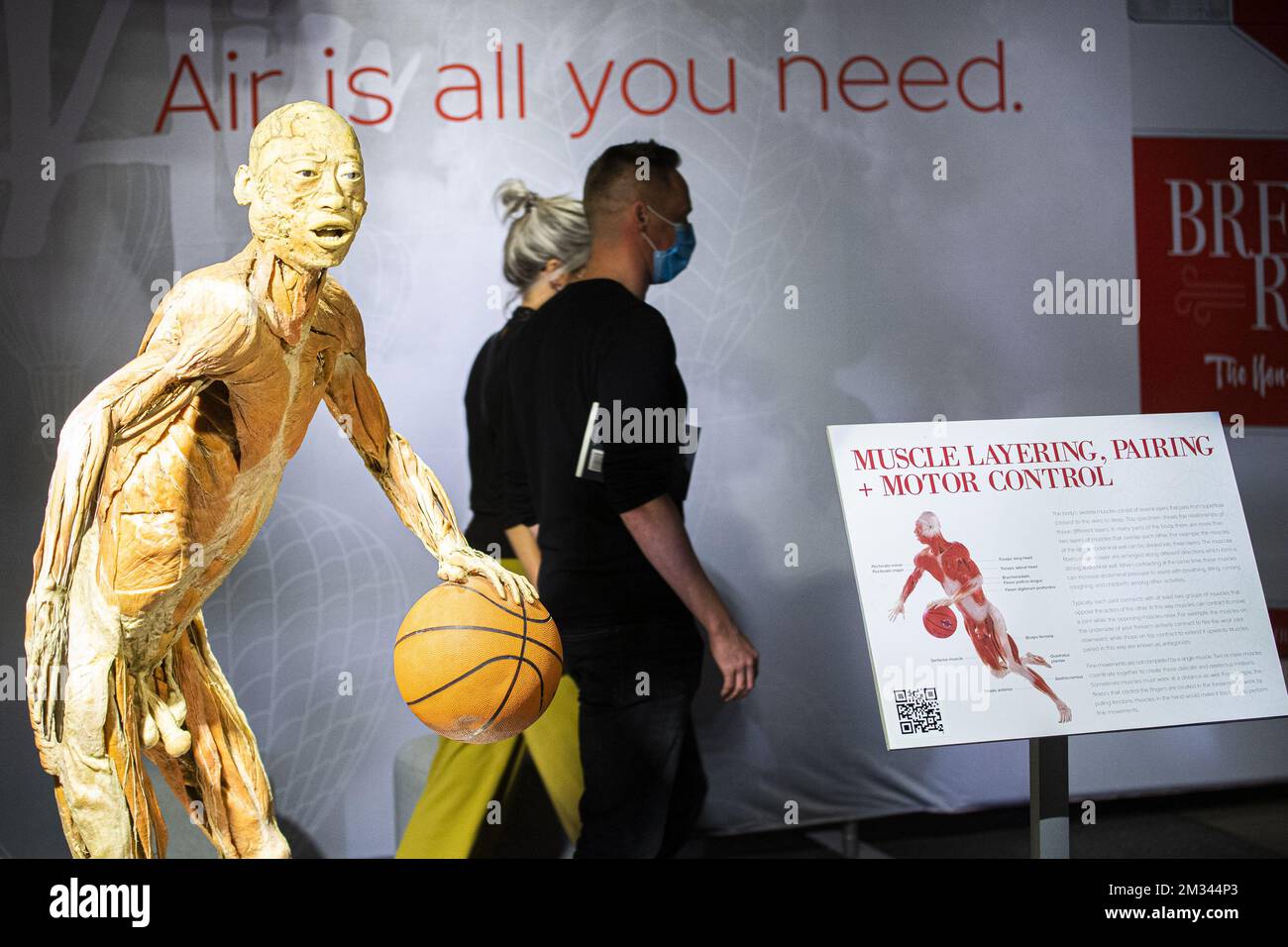 Real human bodies hi-res stock photography and images - Alamy