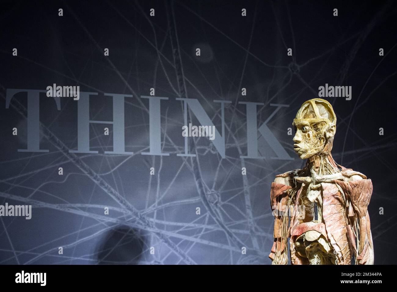 Real human bodies hi-res stock photography and images - Alamy