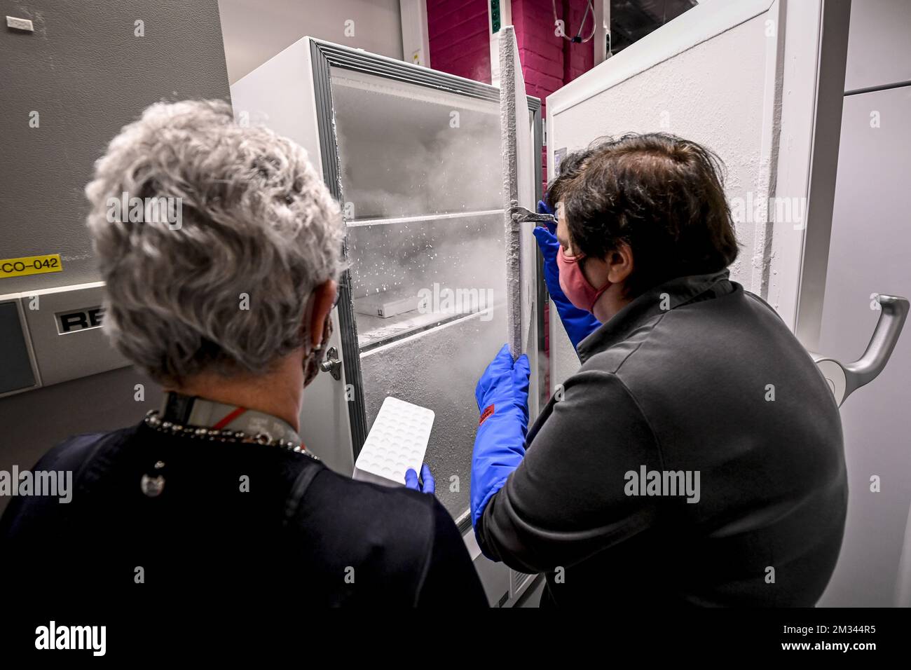 Illustration picture shows %items the hub at the CU Saint Luc hospital ...