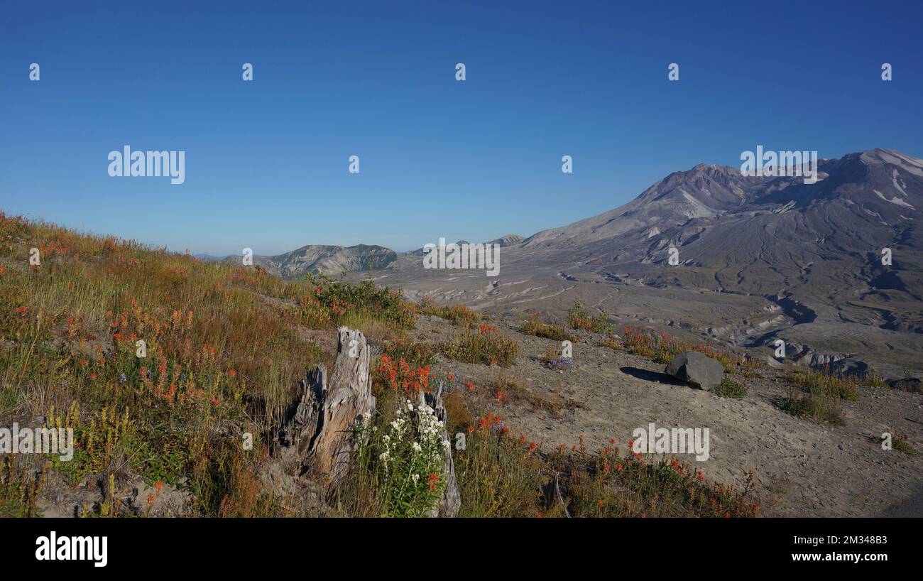 Mount St Helen Crater Stock Photo - Alamy