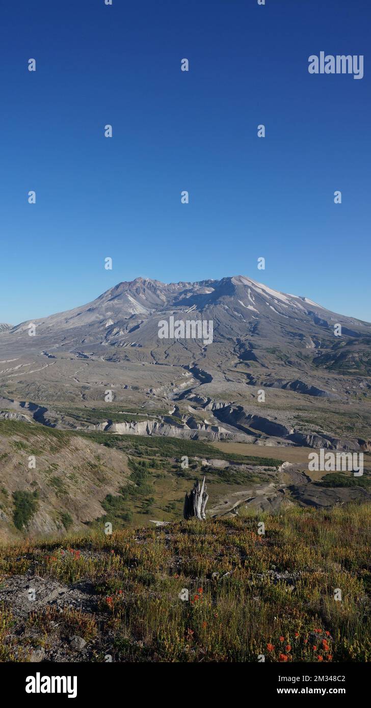 Mount St Helen Crater Stock Photo - Alamy