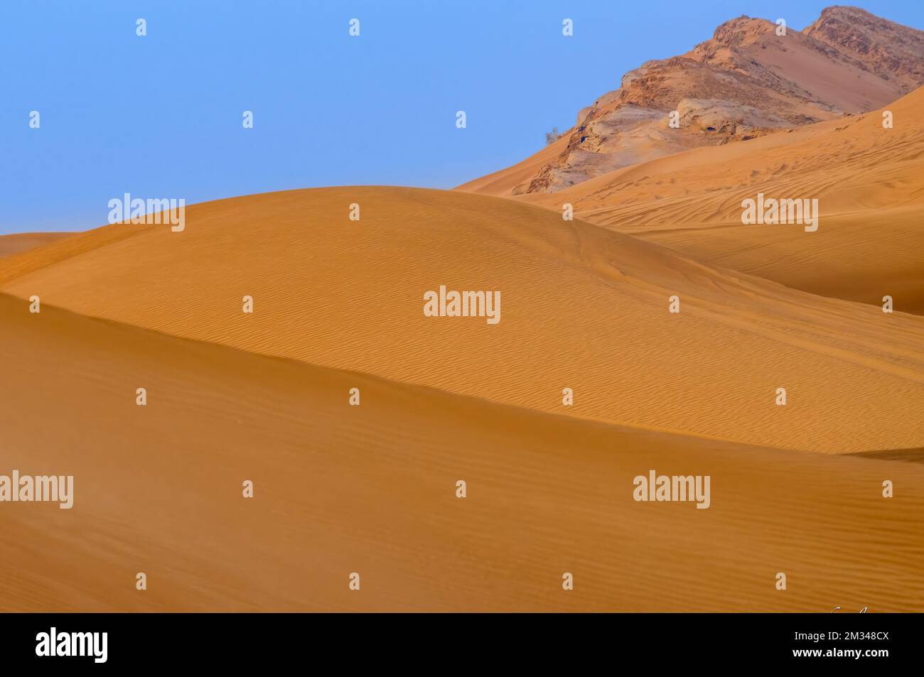 Sand dunes and rock in the Arabian desert Stock Photo - Alamy